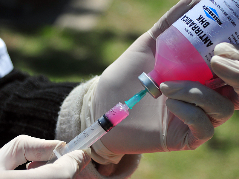 Free Anti-Rabies Vaccination Campaign for Dogs and Cats in Villa Carlos ...