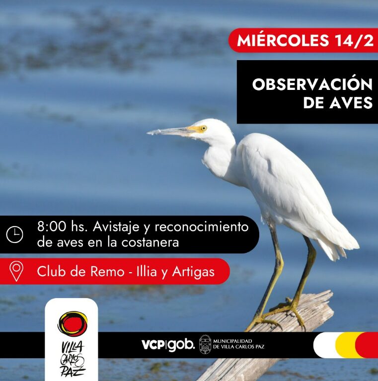 Turismo sostenible: organizan una jornada de avistaje de aves en la ...