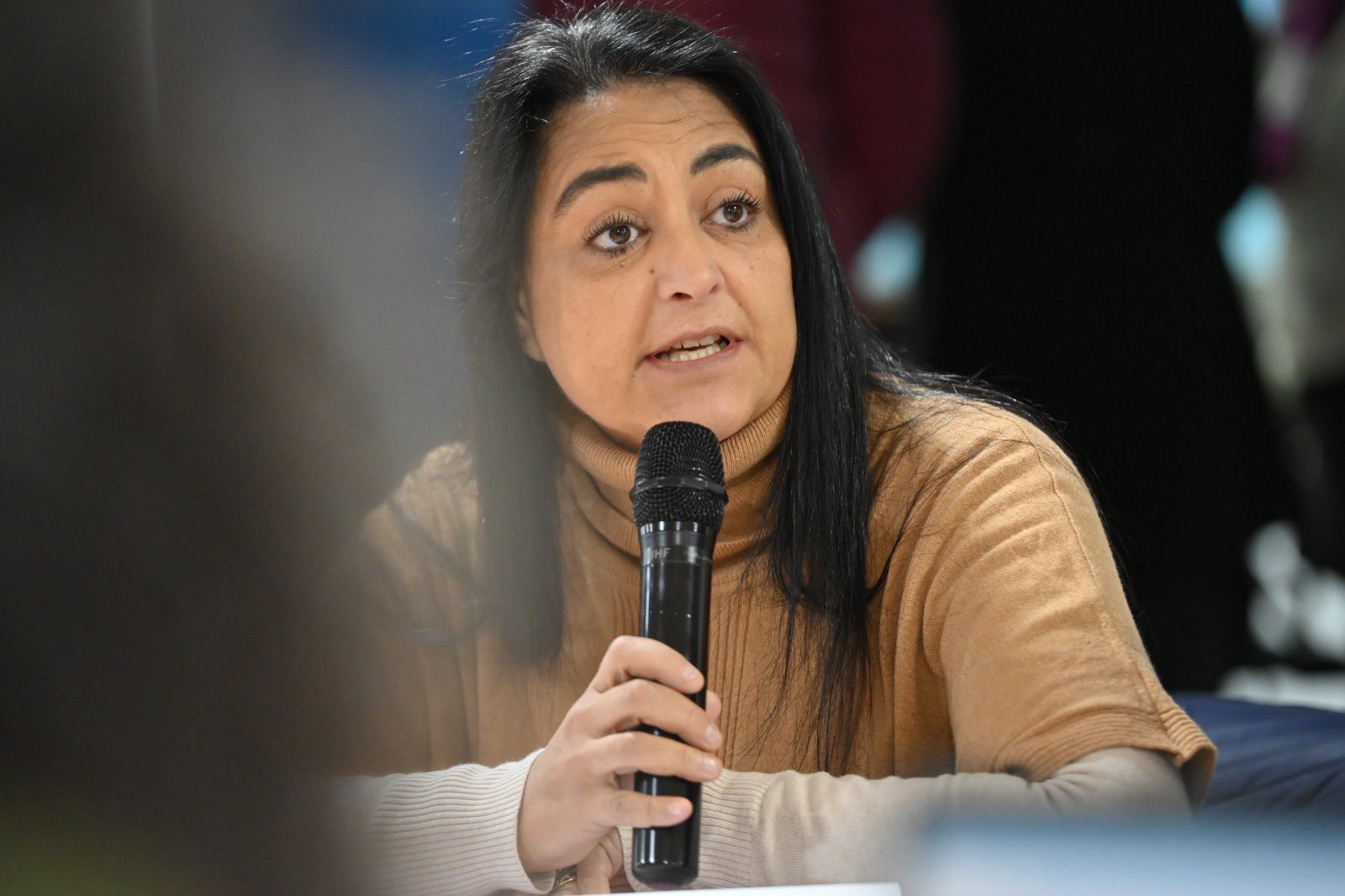 Soher El Sukaria sostuvo que el PRO no debe fusionarse con LLA: "La decisión de Patricia ...